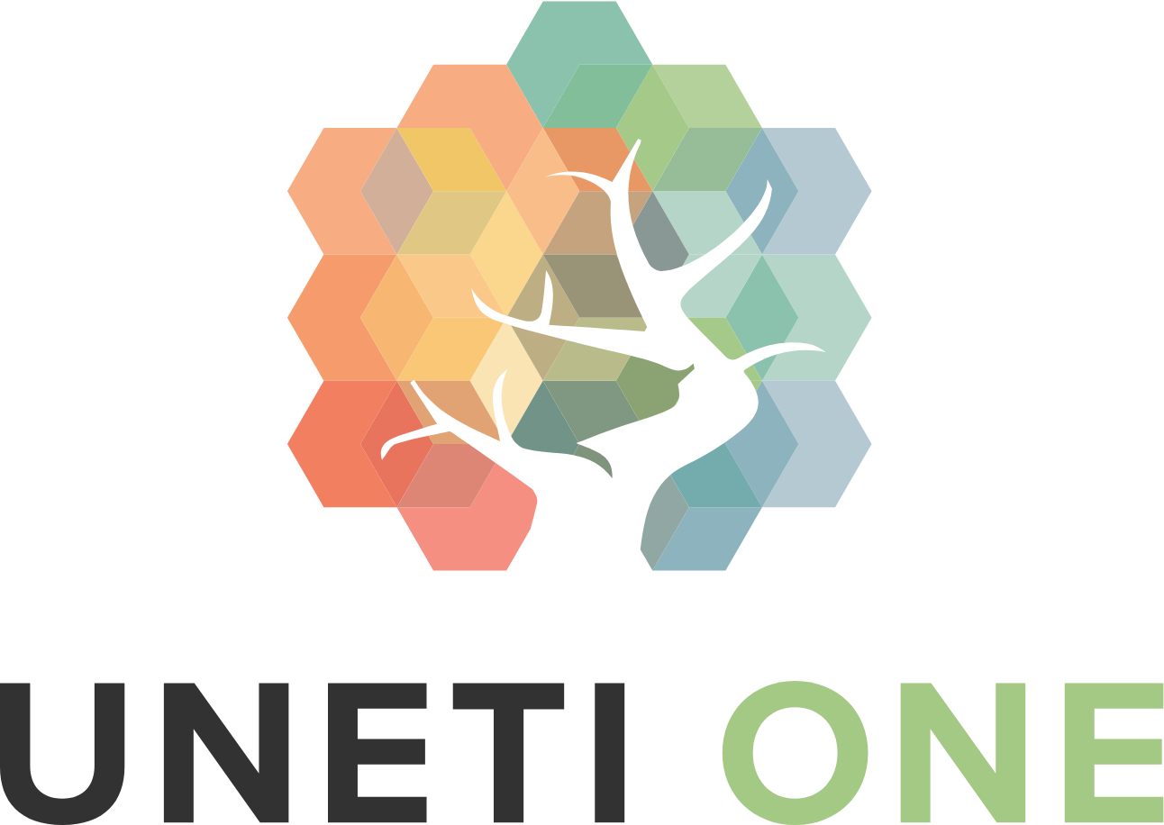 UNETI ONE